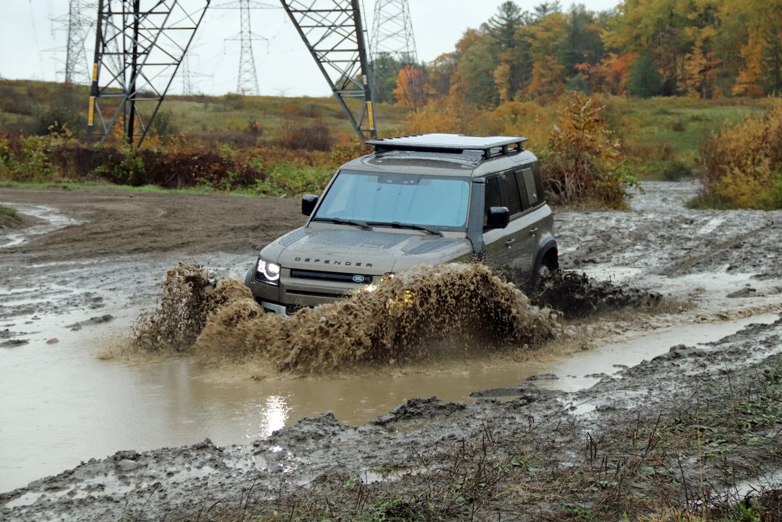 Home Cars - Freak Safari